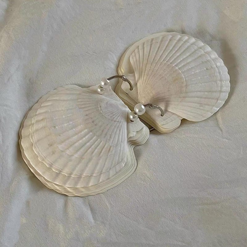 Seashell Journal - Etsy