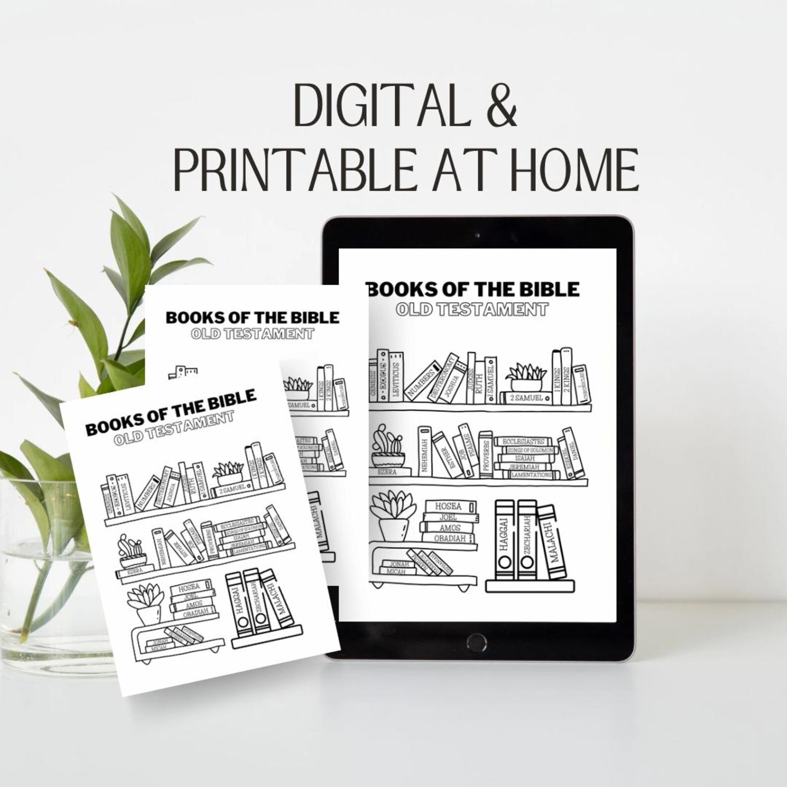 Bible Bookshelf: Old Testament - Etsy