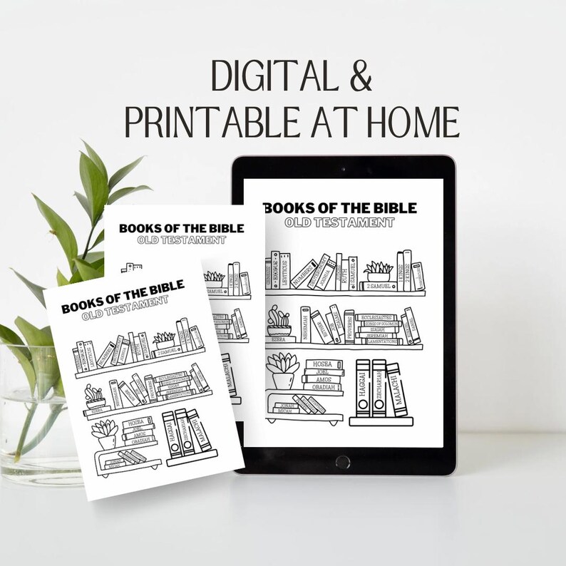 Bible Bookshelf: Old Testament - Etsy