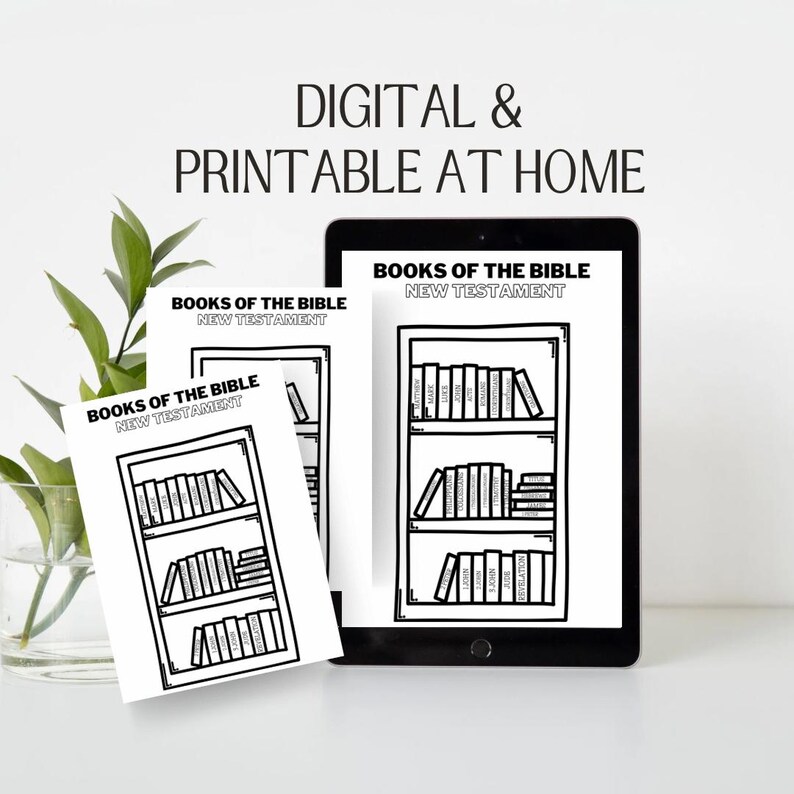Bible Bookshelf: New Testament - Etsy