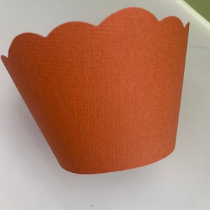 Burnt Orange Cupcake Wrappers, Pumpkin, Harvest Colors - Etsy