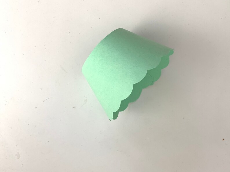 Mint Green Cupcake Wrappers Green Mint Pale Green Spearmint - Etsy
