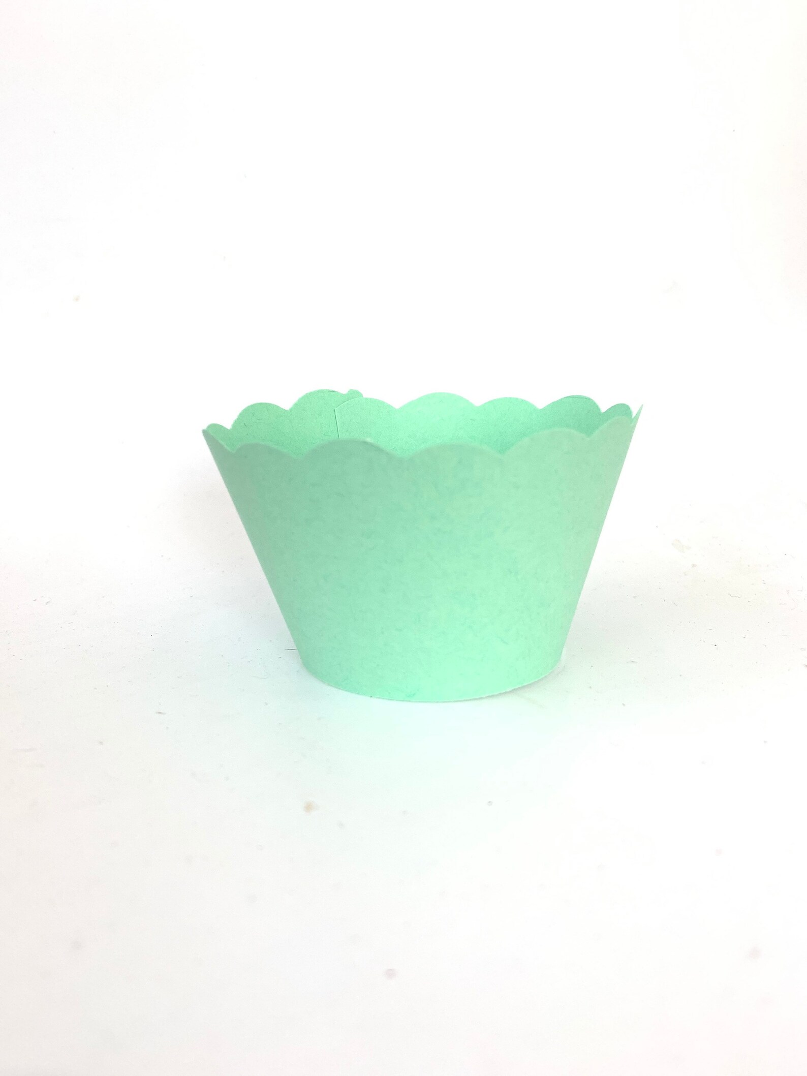 Mint Green Cupcake Wrappers Green Mint Pale Green Spearmint - Etsy