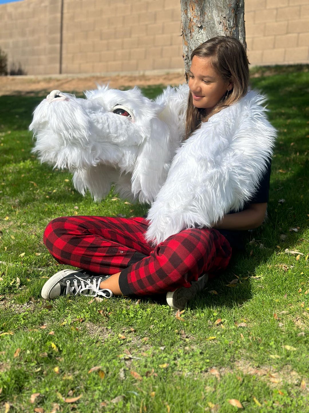 Falkor Luck Dragon Puppet - Etsy