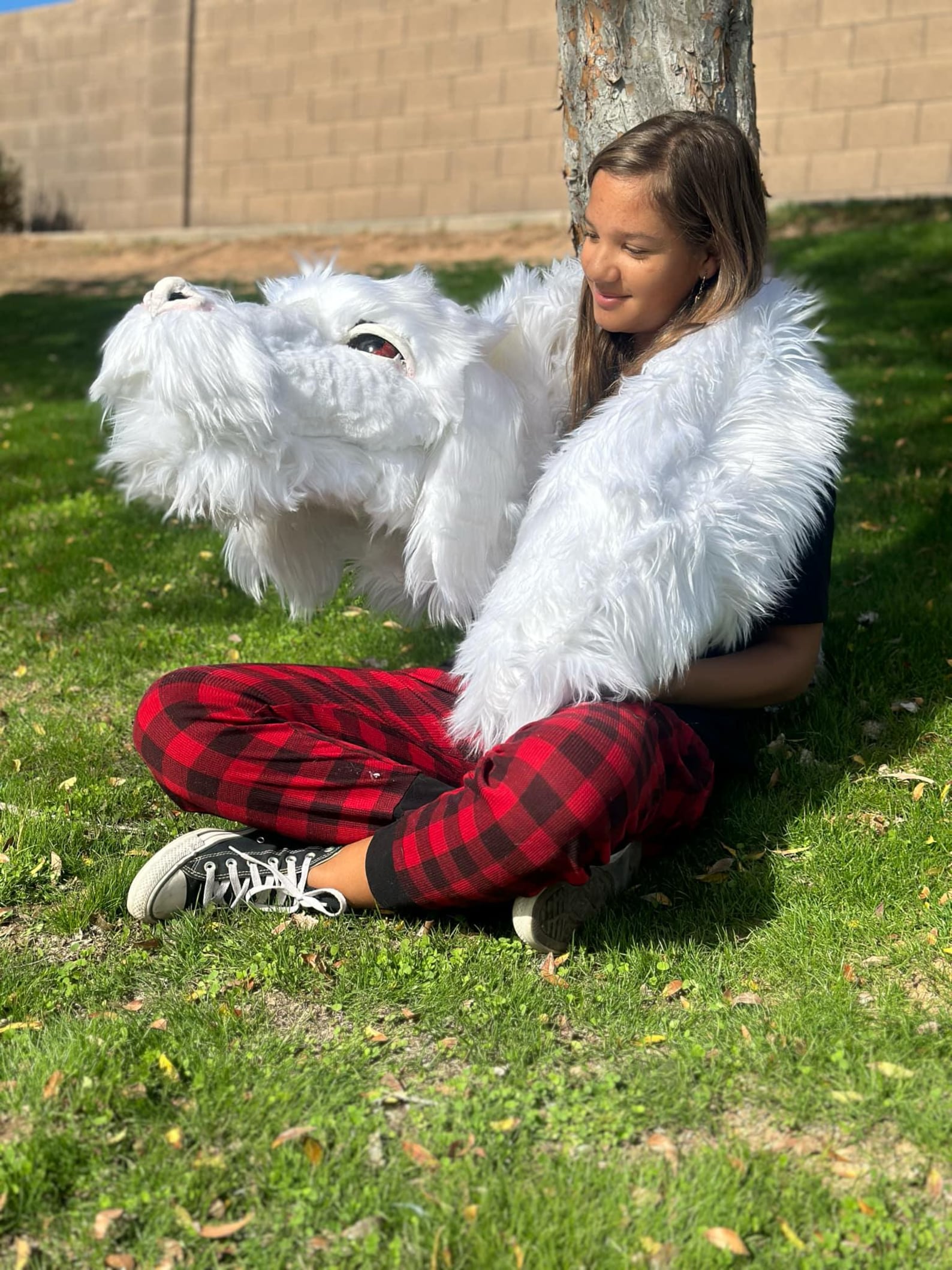 Falkor Luck Dragon Puppet - Etsy