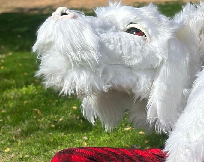 Falkor Luck Dragon Puppet - Etsy