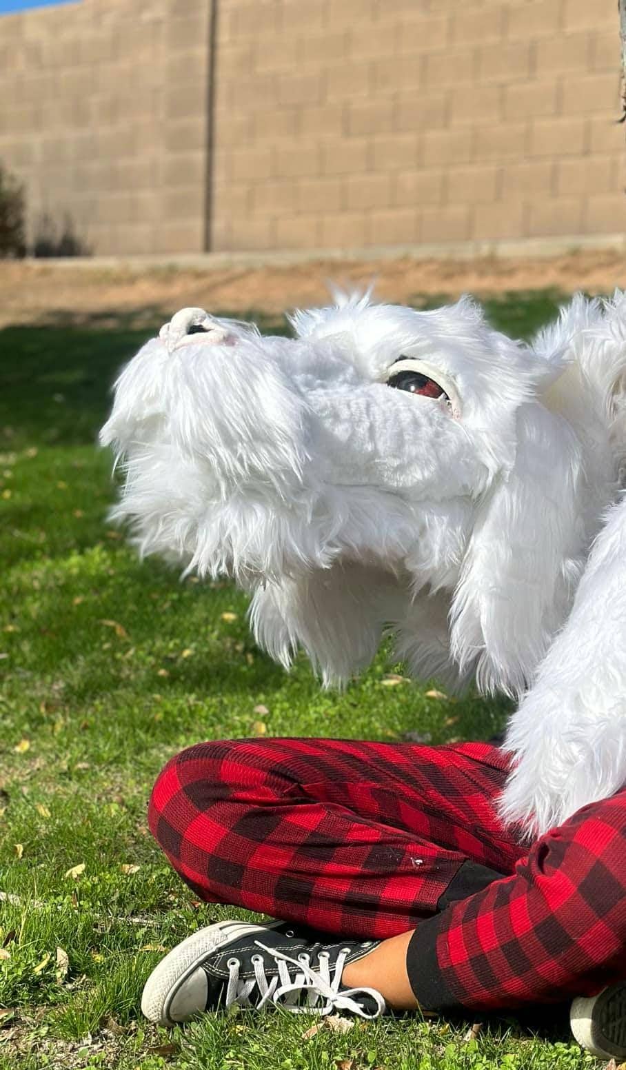 Falkor Luck Dragon Puppet - Etsy