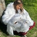 Falkor Luck Dragon Puppet - Etsy