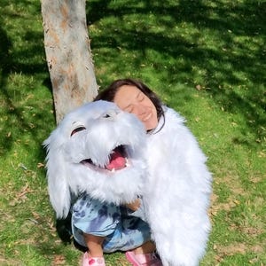 Falkor Luck Dragon Puppet - Etsy