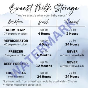Breast Milk Storage Chart Template - Etsy