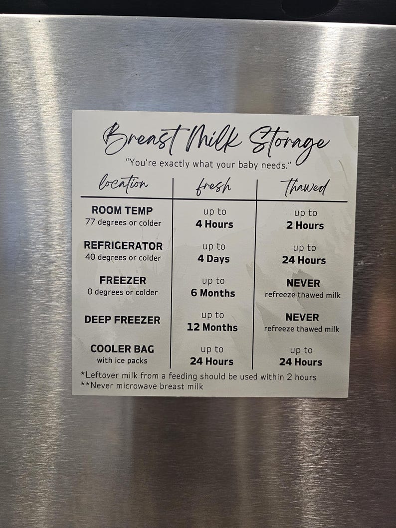 Breast Milk Storage Guide Magnet - Etsy
