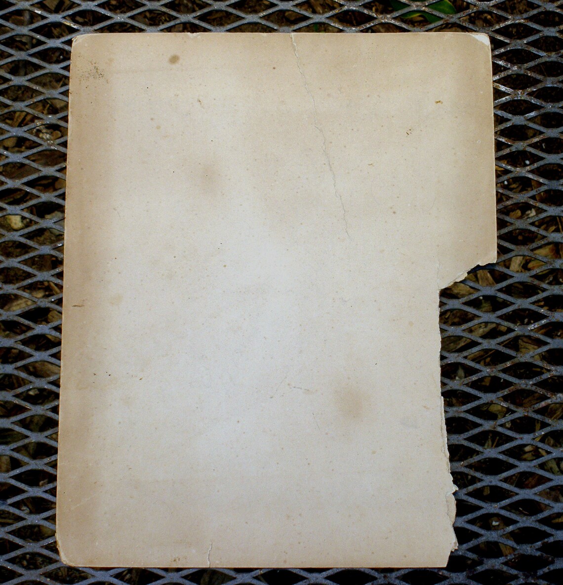 Antique 1800s Cabinet Photo 3 Generations E. E. Roaessler Photographer ...