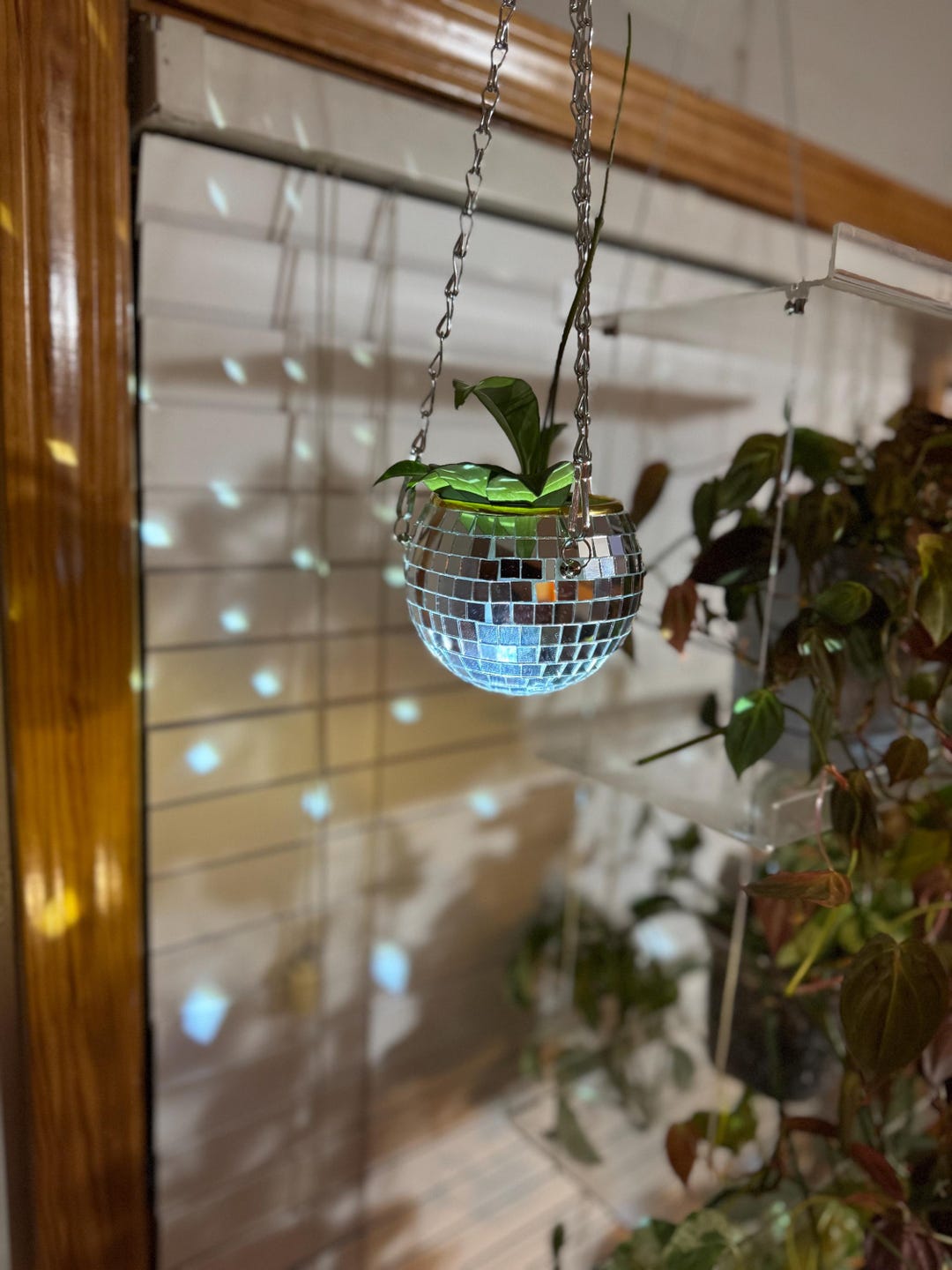 Hanging Disco Ball Pot - Etsy