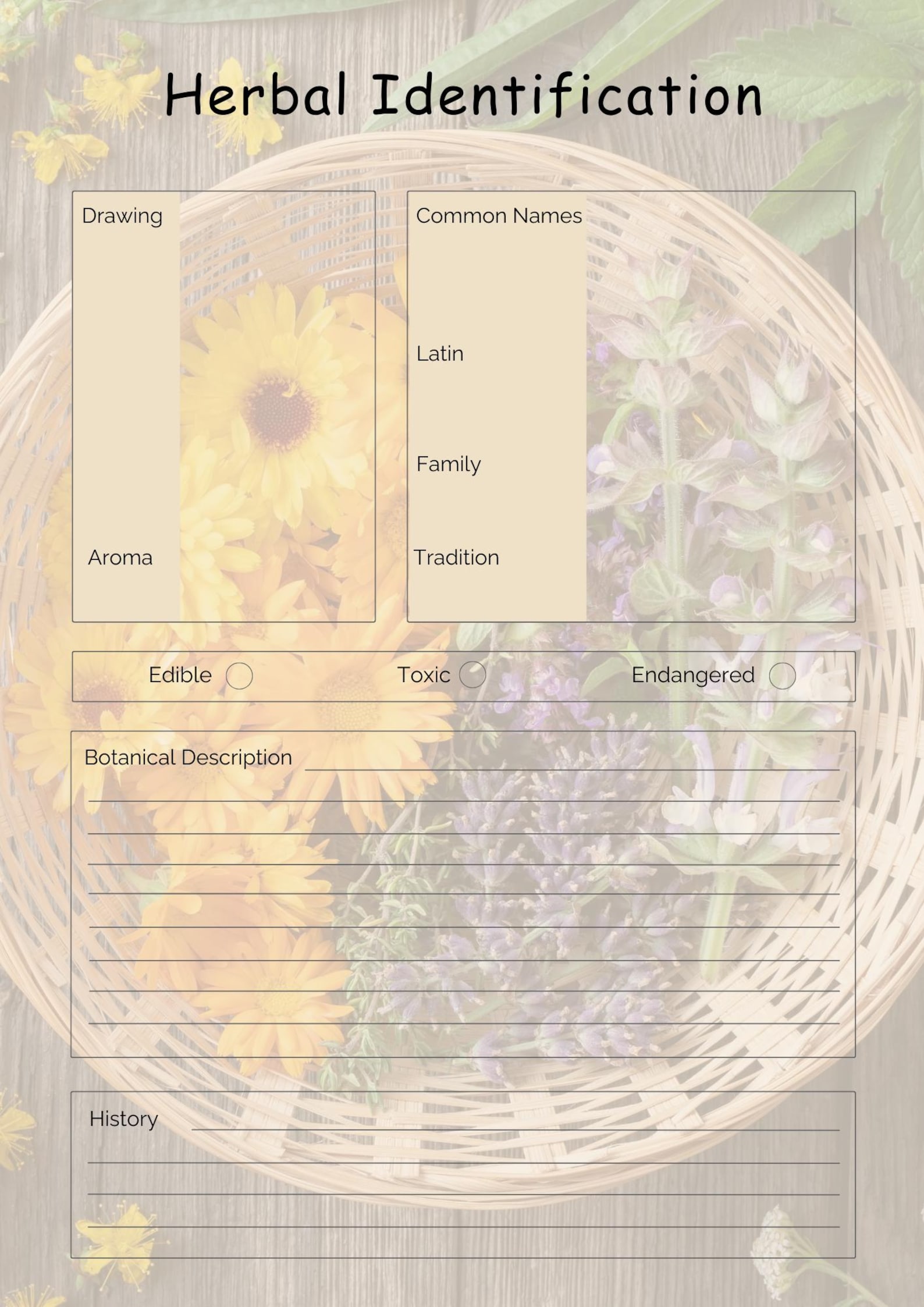 Herbs and Essential Oils Guide Template for Canva | Editable Healing ...