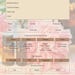 Herbs and Essential Oils Guide Template for Canva | Editable Healing ...