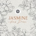 Hand Drawing Line Art Jasmine Flowers. Vectorized Sketch for Wedding ...