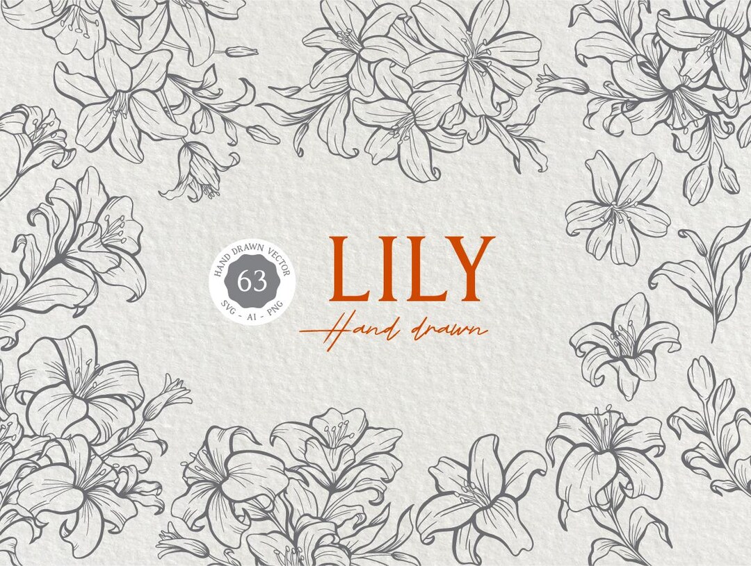63 Lily Hand Drawn Element, a Sketched Flower Illustration Included a ...