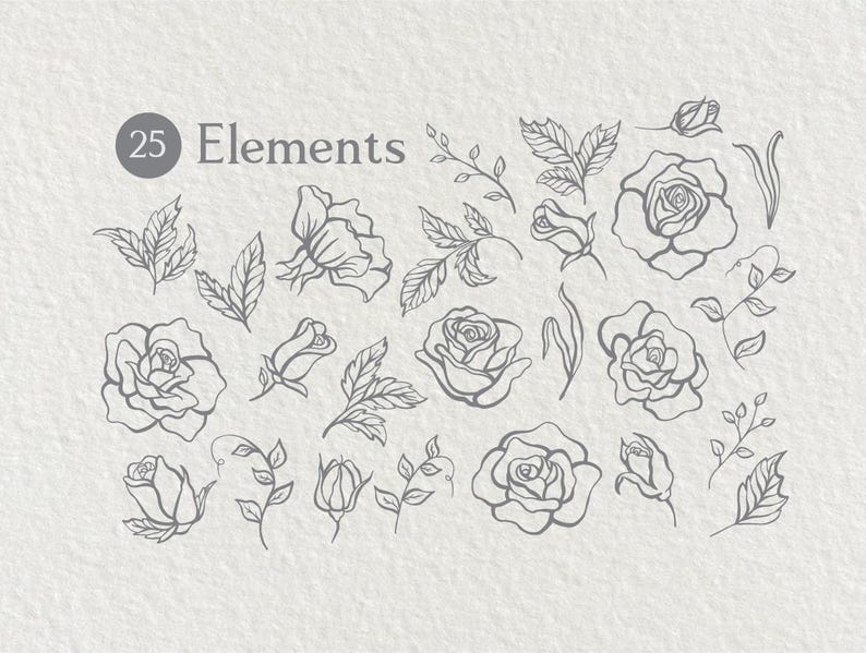Hand Drawn Roses Vector: Floral Line Art Design (digital Download) - Etsy