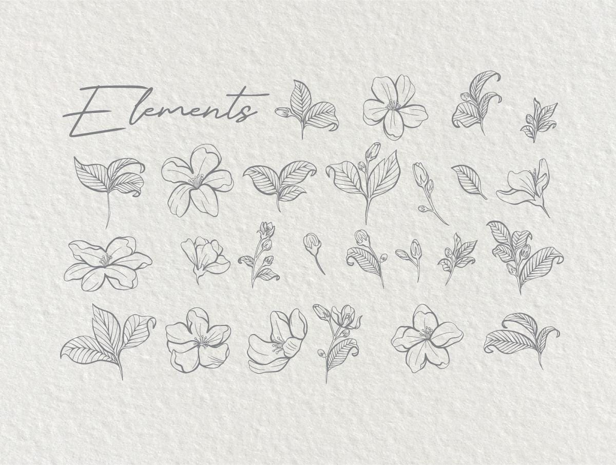 Jasmine Hand Drawn Element, Graphic Clipart Creator Set Related to ...