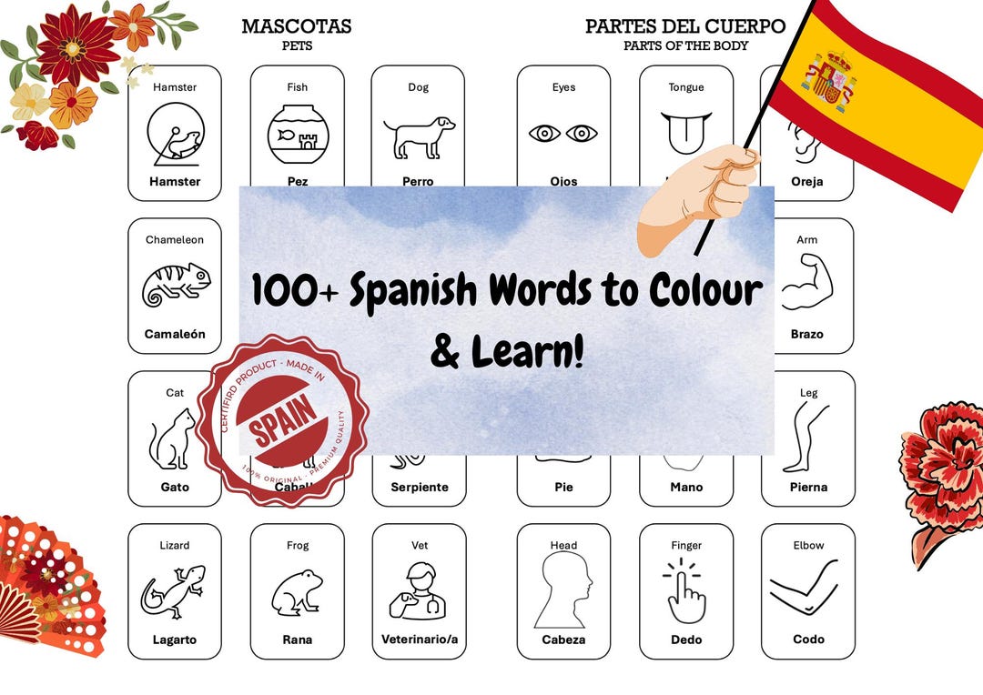 100+ Colour-in Spanish Flash Cards for Vocabulary Learning - Etsy