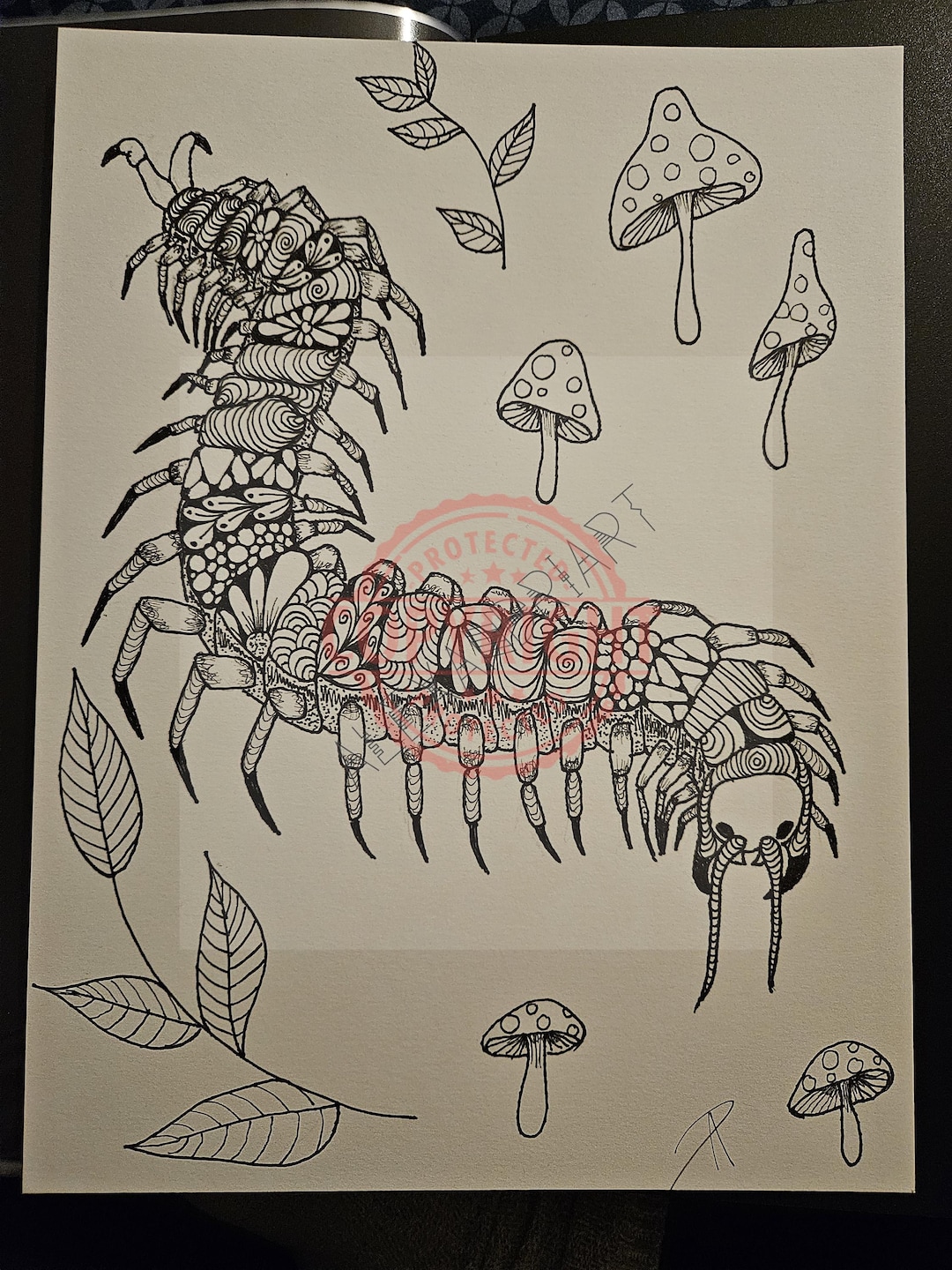 Original Art Drawing Centipede - Etsy