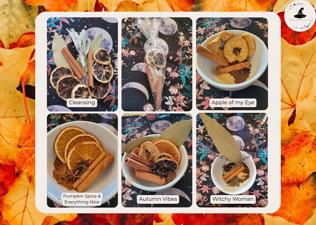 Fall Simmer Pot Kit – Autumn Stove Top Potpourri for Home, Cozy Gifts ...