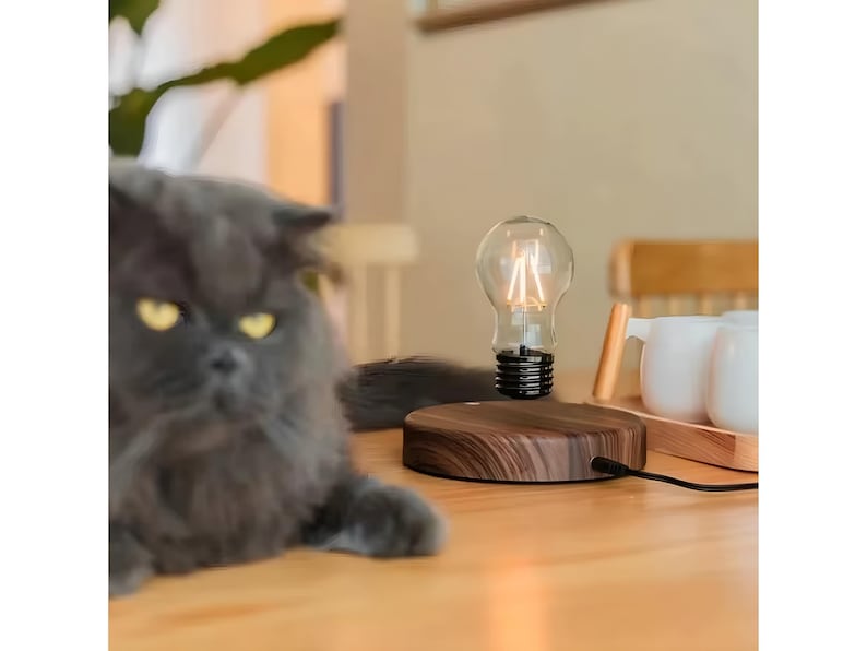 Magnetic Levitating Desk Lamp | Floating LED Asian Style Lamp | Unique ...