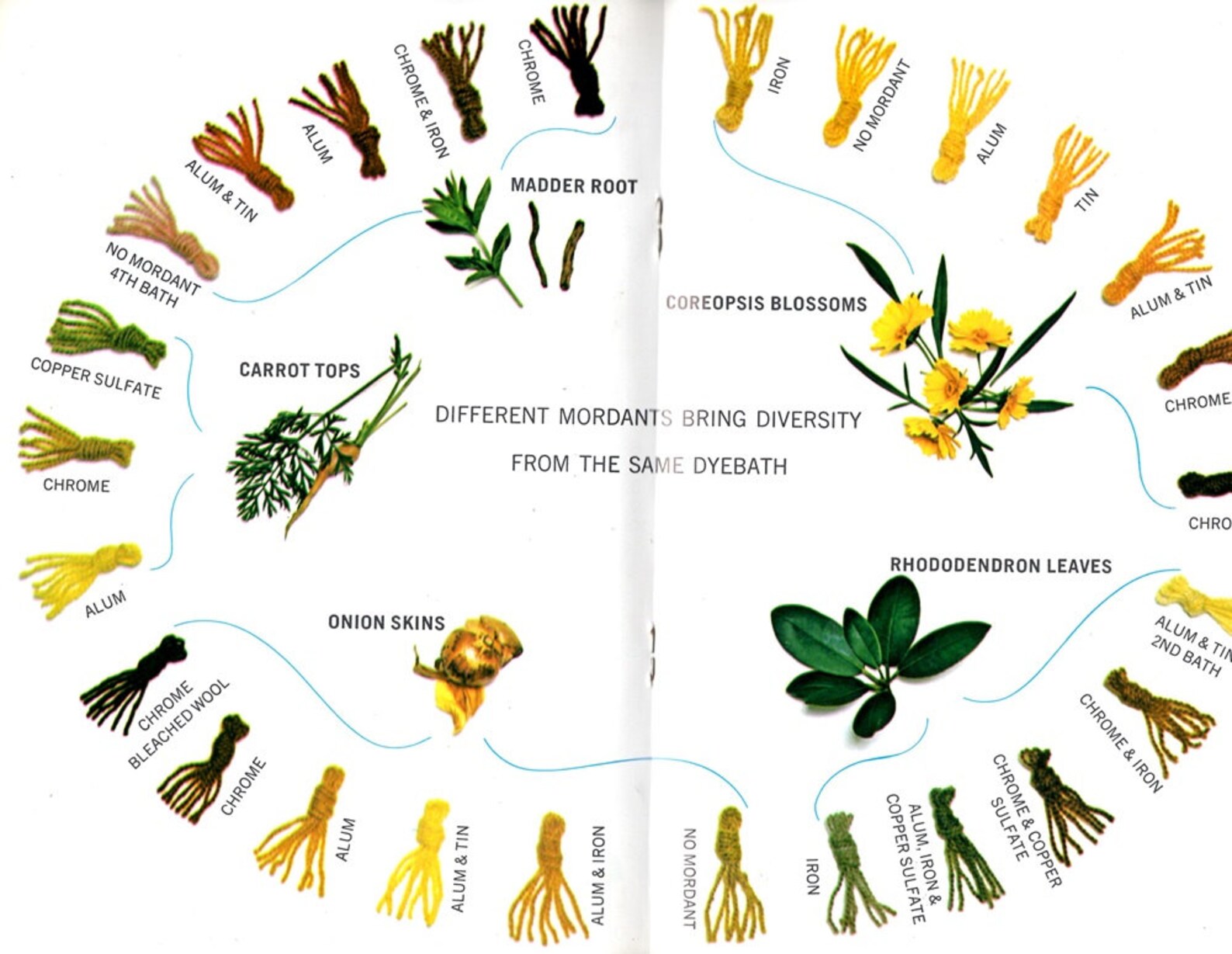 Natural Plant Dyeing Handbook Natural Organic Colors for - Etsy España