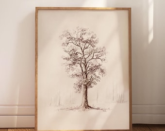 oak tree drawing