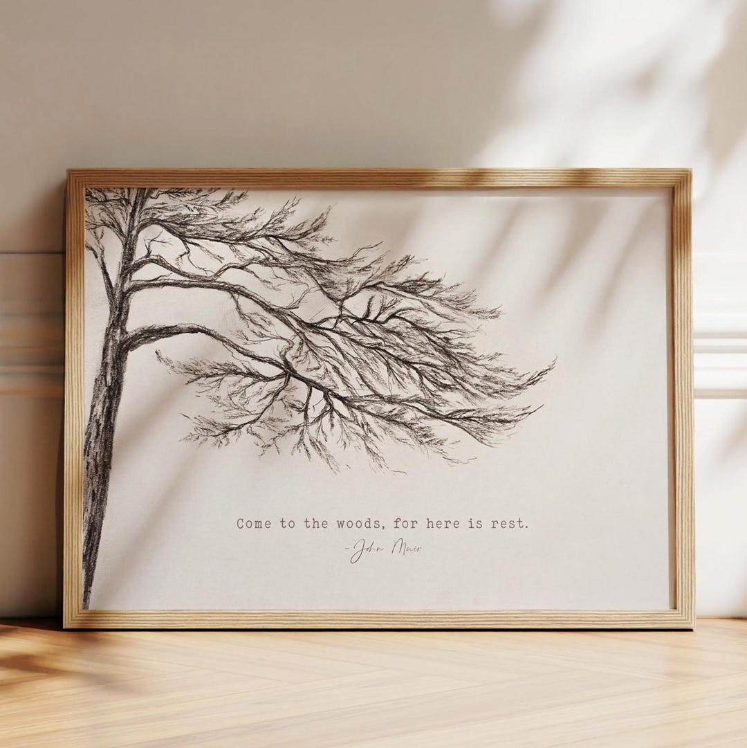 John Muir Quote, Tree Print, Come to the Woods for Here is Rest, Pine ...