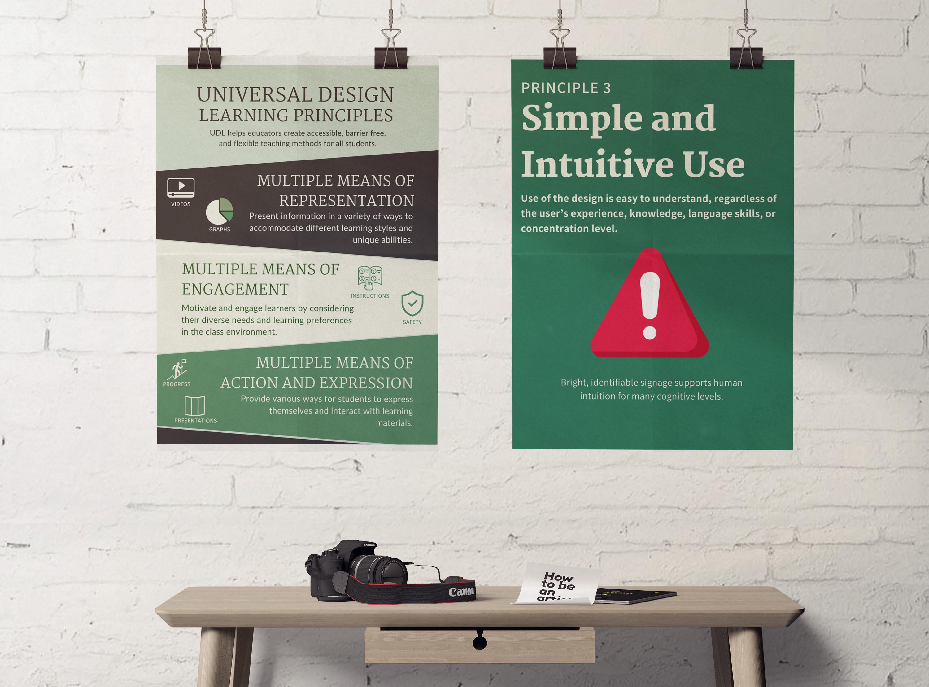 Universal Design for Learning Principles Printable Posters Teaching and Educator Inclusive ...