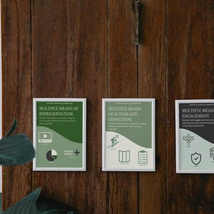 Universal Design for Learning Principles Printable Posters Teaching and Educator Inclusive ...