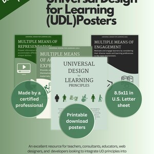 Universal Design for Learning Principles Printable Posters Teaching and Educator Inclusive ...