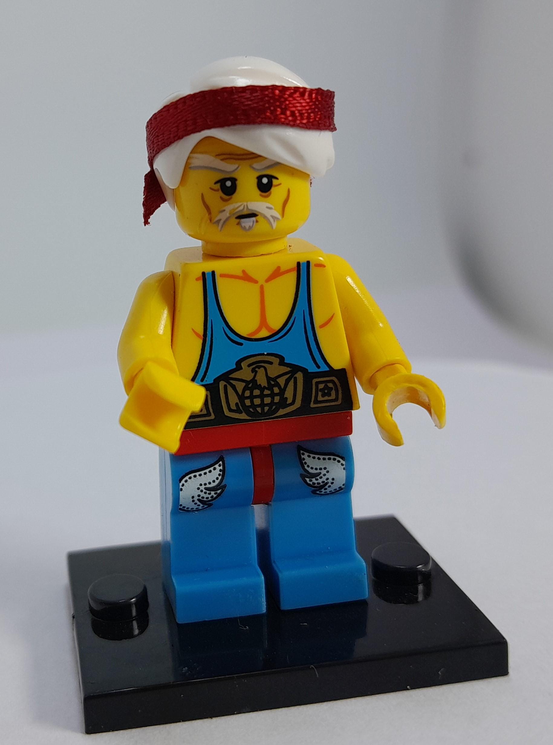 Hulk Hogan / Wrestler, WWF, WWE, Figure - Custom Built From Genuine ...
