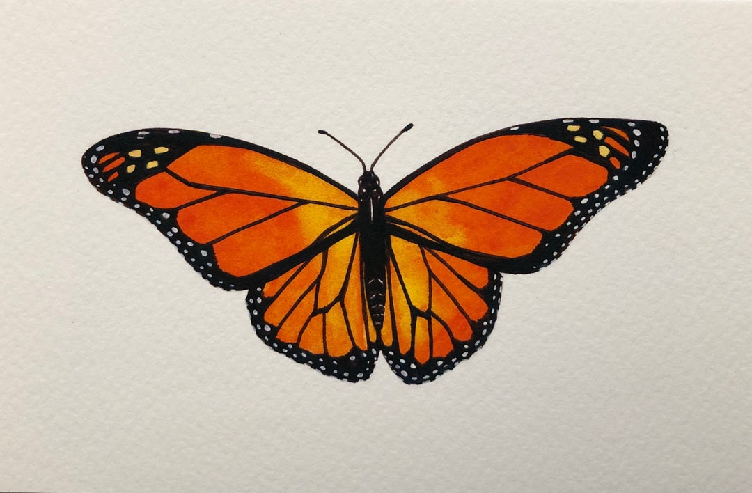 Monarch 4 X 6 Print MADE TO ORDER - Etsy