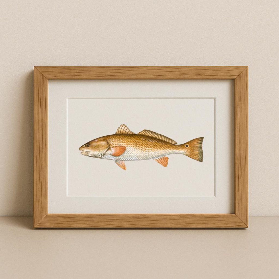 Redfish Art Print: Minimalist Fish Illustration, Coastal Decor - Etsy