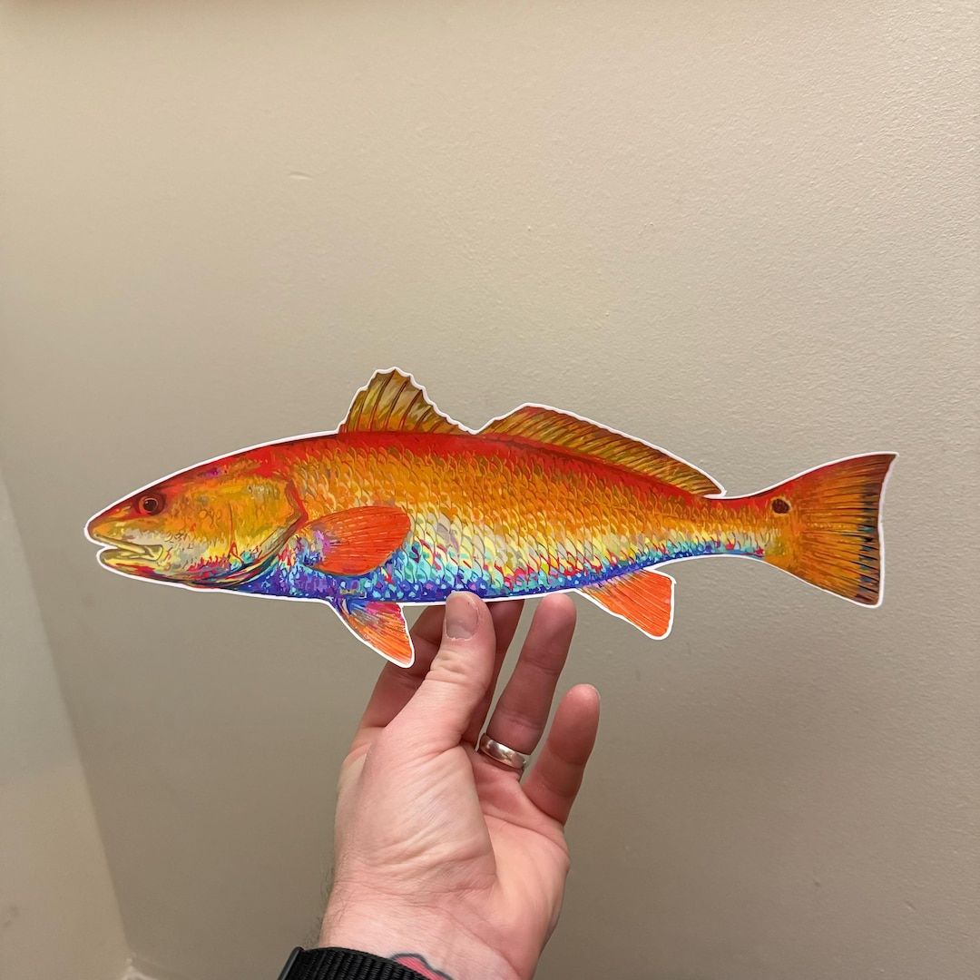 12 Inch Large Redfish Sticker Die Cut Fishing Decal for Tackle Boxes ...