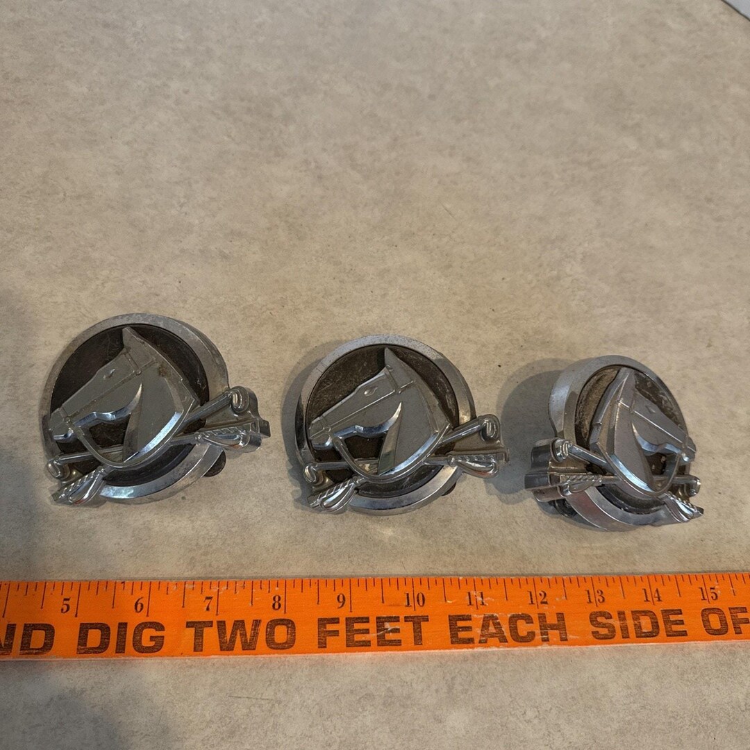 Lot of 3 1966 Ford COUNTRY Squire Rear Emblem ORNAMENT OEM Rare - Etsy