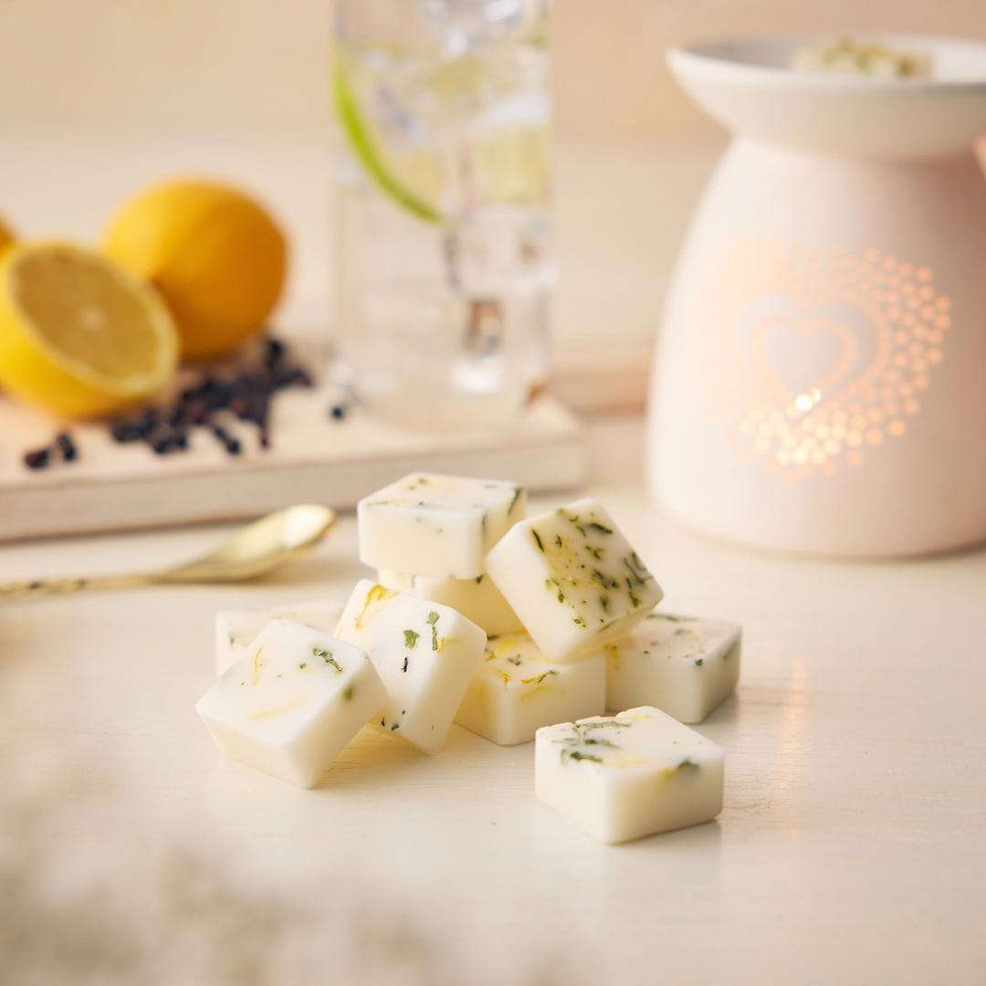 Gin & Tonic Wax Melt Giftbox (box of 10) - Etsy