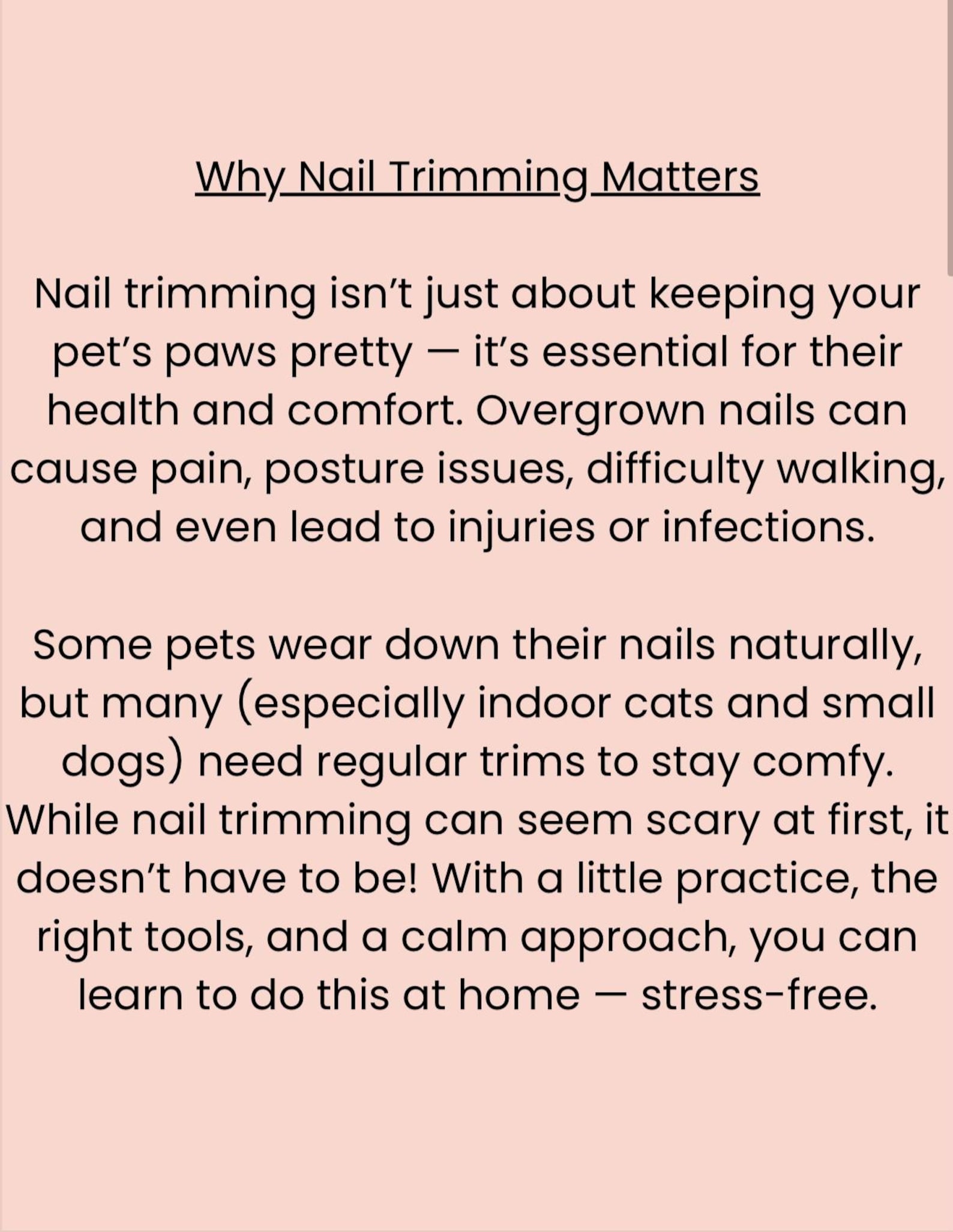 Pet Nail Clipping Guide: Vet Tech Step-by-step (digital Download) - Etsy