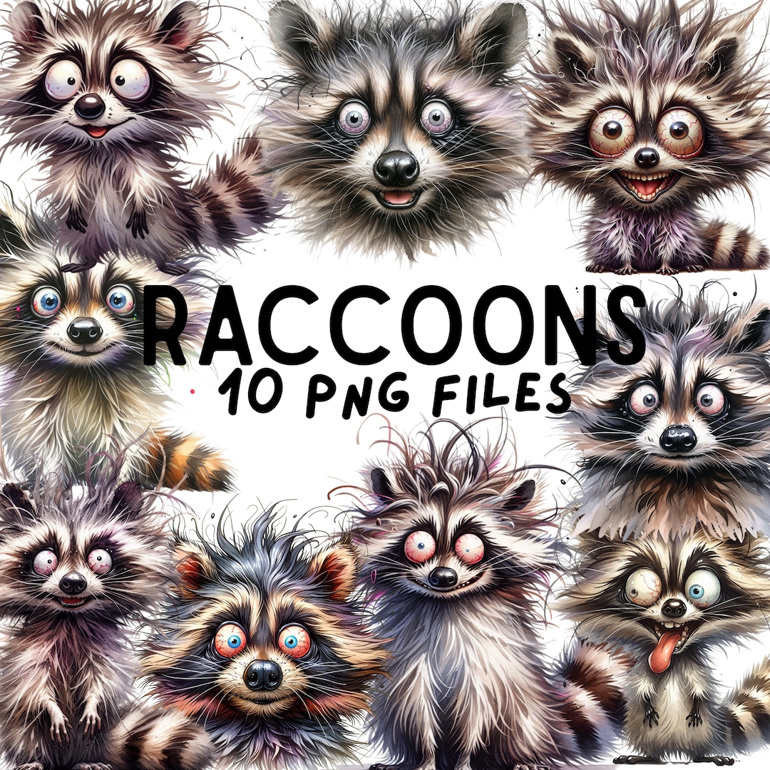 Cartoon Raccoon Clipart, Cute Animals PNG, Funny Raccoon Faces Digital ...
