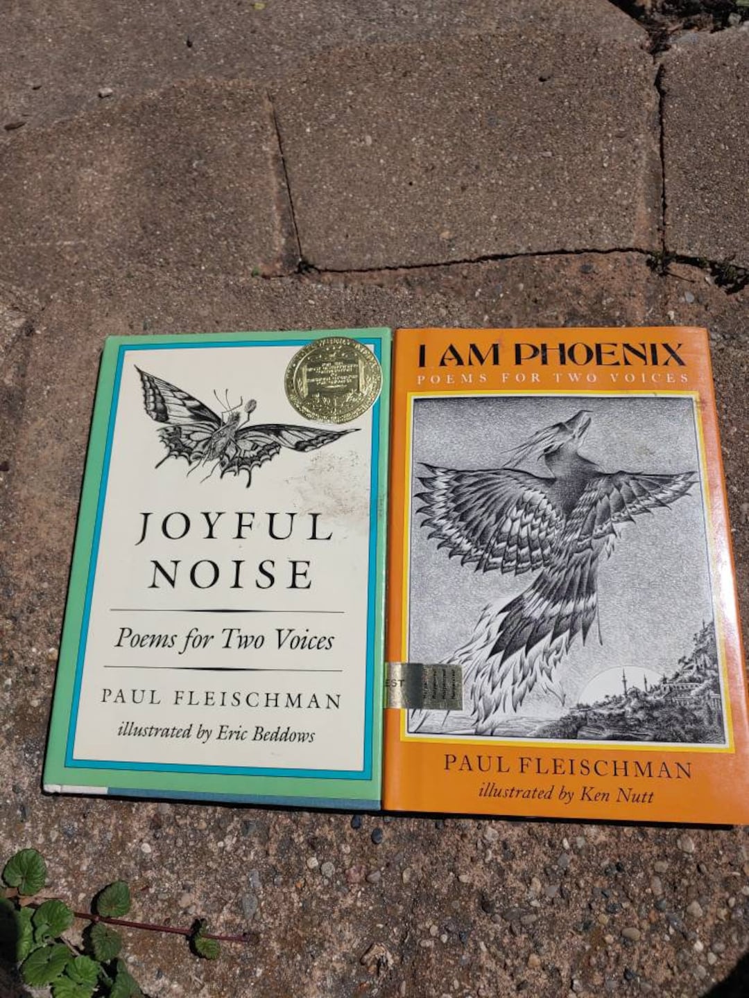 Vintage Books Joyful Noise Poems for Two Voices and I Am - Etsy