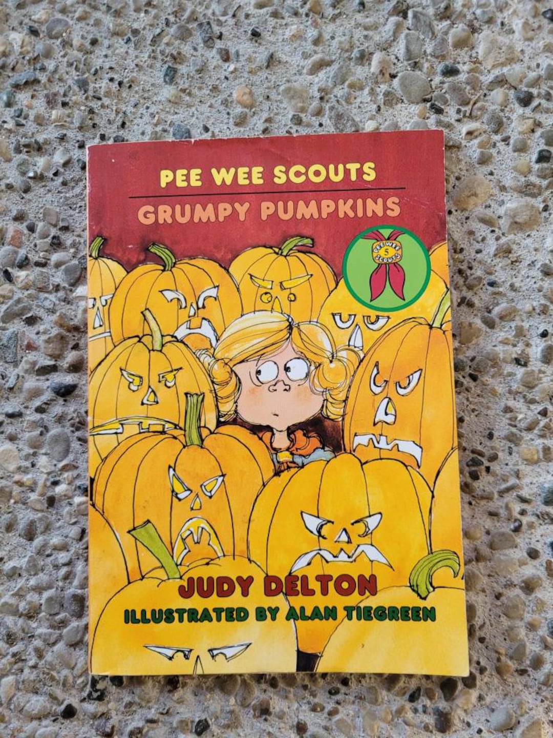 Vintage Book Pee Wee Scouts Grumpy Pumpkins by Judy Delton Illustrated ...