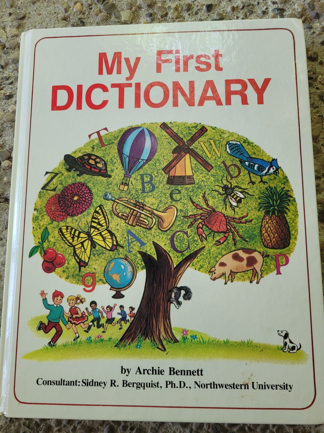 My First Dictionary by Archie Bennett Illustrated by Nancy Sears - Etsy