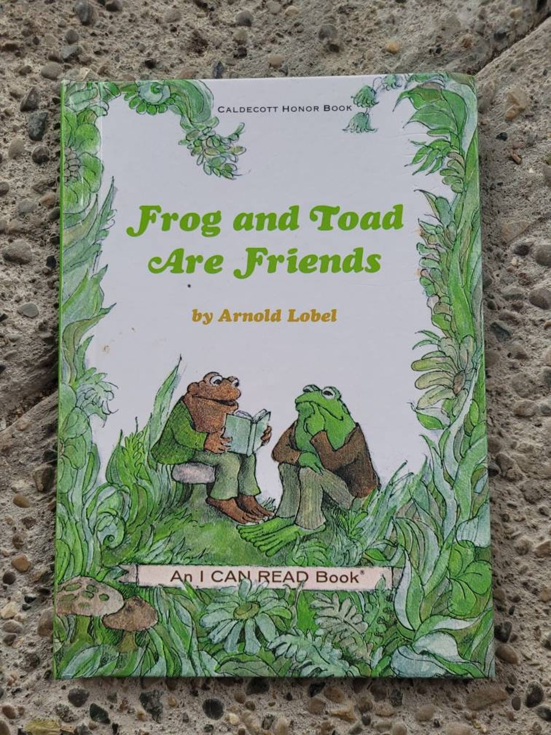 Vintage Book Frog and Toad Are Friends by Arnold Lobel an I - Etsy