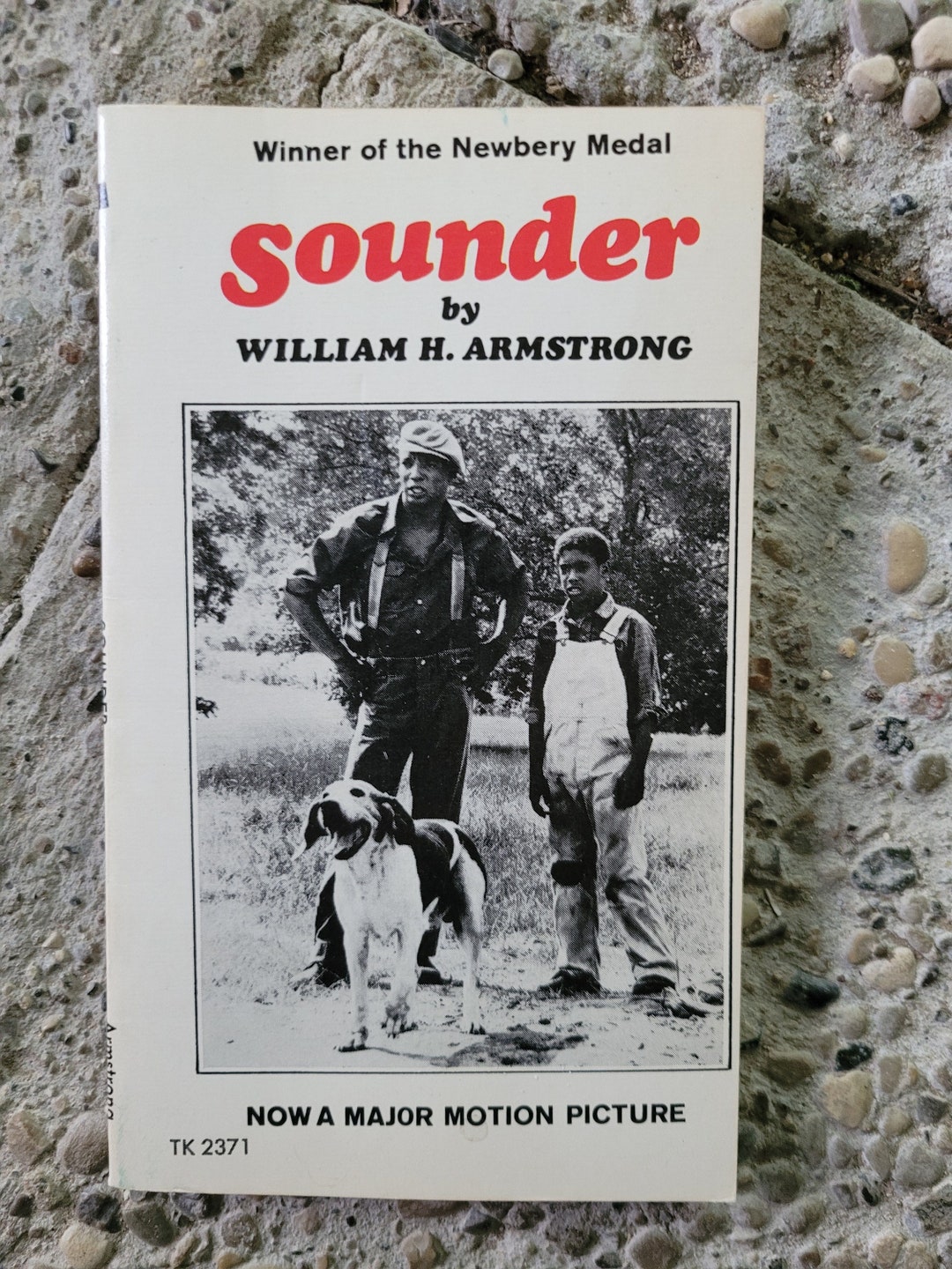 Sounder by William H. Armstrong - Etsy