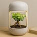 Minimalist Table Lamp With Planter: Luminest Desk Light, Plant Lover ...