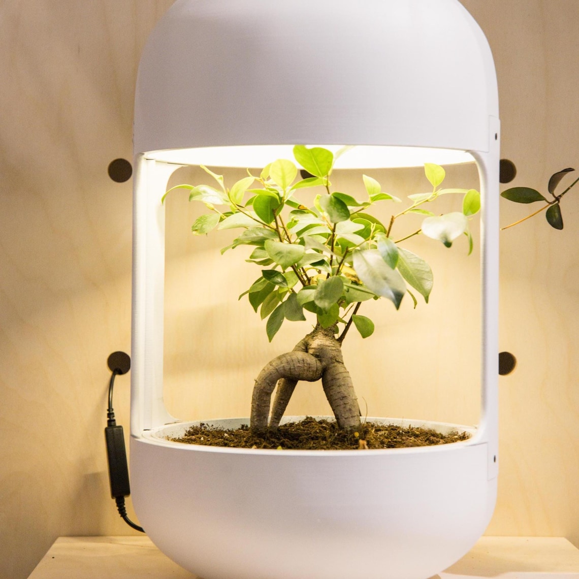 Minimalist Table Lamp With Planter: Luminest Desk Light, Plant Lover ...