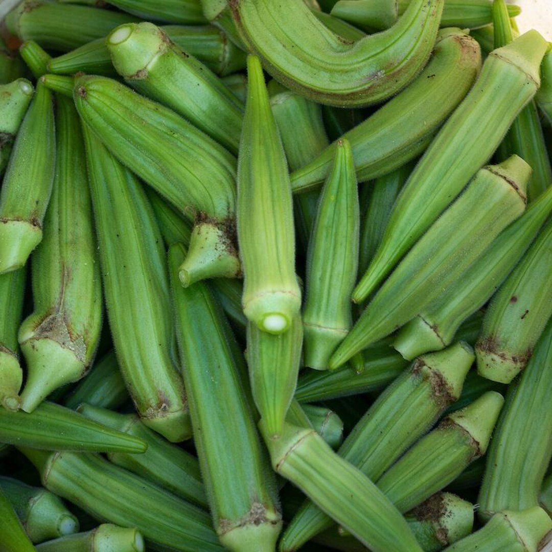 Okra Dwarf Long Pod Green Seeds - Etsy