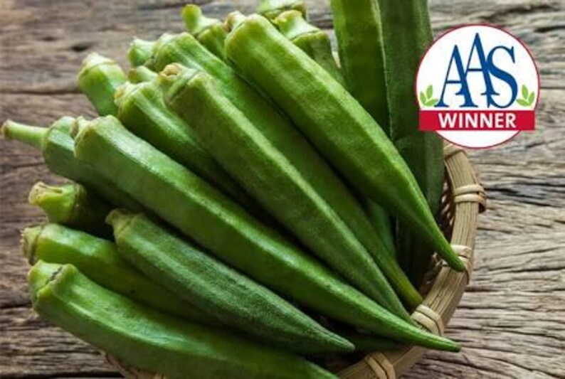 Okra Dwarf Long Pod Green Seeds - Etsy